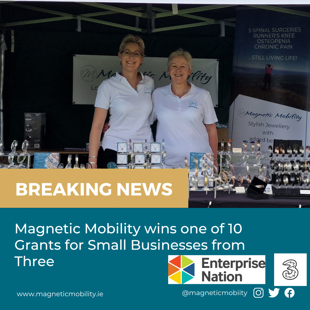 Winners of the Grants for Small Busines – Magnetic Mobility